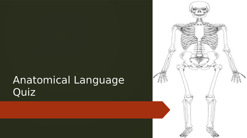 IB SEHS Unit 1 - Musculoskeletal System | Teaching Resources