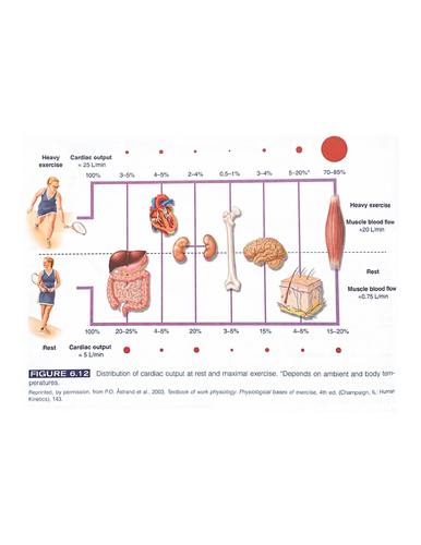 IB SEHS Unit 2 - Exercise Physiology | Teaching Resources