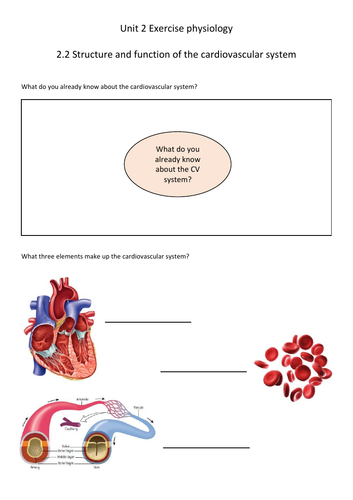IB SEHS Unit 2 - Exercise Physiology | Teaching Resources
