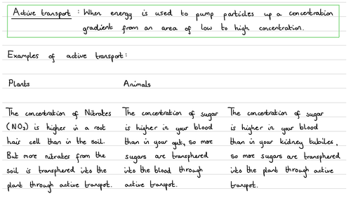 Active Transport notes | Teaching Resources