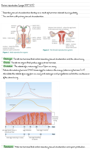 B11: The Hormonal System revision notes | Teaching Resources