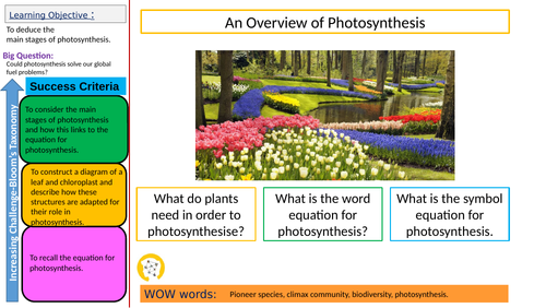 An Overview of Photosynthesis - Oxford AQA A Level Biology | Teaching ...