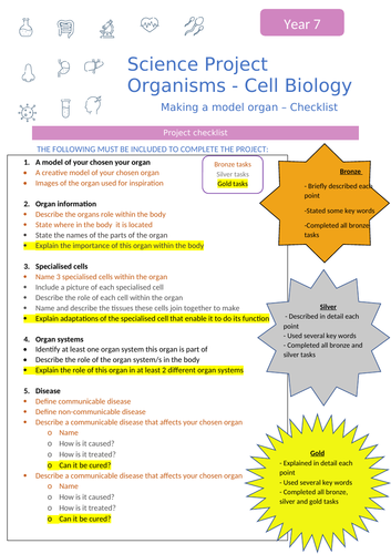 KS3 Science Project Biology Cells - Make a Model Organ | Teaching Resources