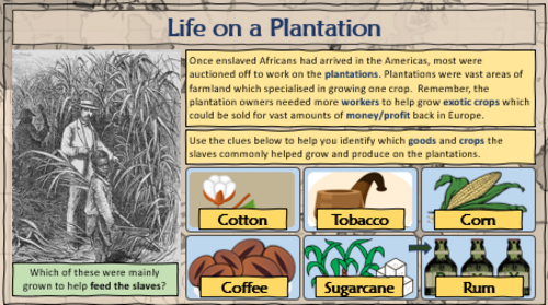 Slave Trade - Plantation Life & Auctions | Teaching Resources