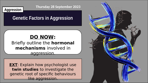 GENETIC FACTORS IN AGGRESSION [A-Level Psychology - Aggression Topic ...