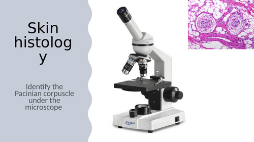 OCR A - A LEVEL BIOLOGY POWERPOINTS - WHOLE COURSE | Teaching Resources