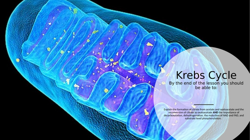 OCR A - A LEVEL BIOLOGY POWERPOINTS - WHOLE COURSE | Teaching Resources