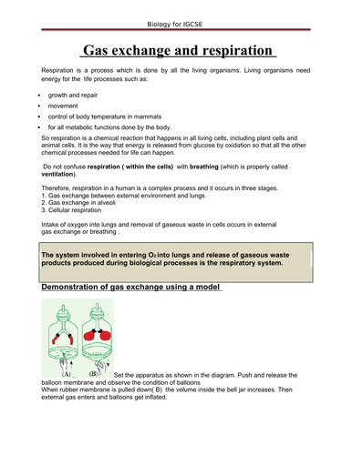 Gas exchange and respiration | Teaching Resources
