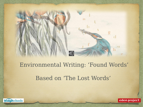 Literacy Lesson plan: Found Words | Teaching Resources