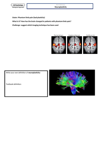 IB Psychology: Neuroplasticity | Teaching Resources