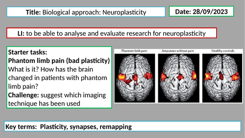 IB Psychology: Neuroplasticity | Teaching Resources