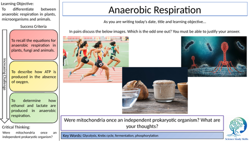 Anaerobic Respiration - Oxford AQA A Level Biology | Teaching Resources