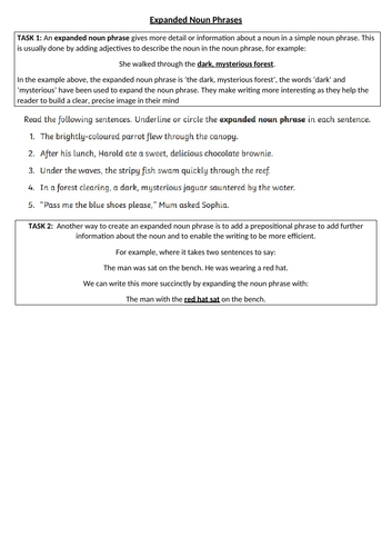 Nouns and Noun Phrases | Teaching Resources