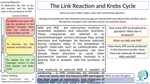 The Link Reaction and Krebs Cycle - Oxford AQA A Level Biology ...