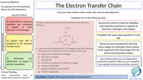 The Electron Transfer Chain - Oxford AQA A Level Biology | Teaching ...