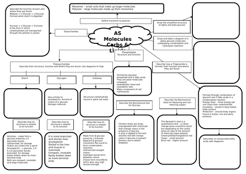 AS Biology - Completed Biological Molecules Revision Mat | Teaching ...