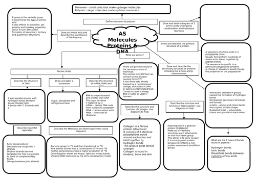 AS Biology - Completed Biological Molecules Revision Mat | Teaching ...