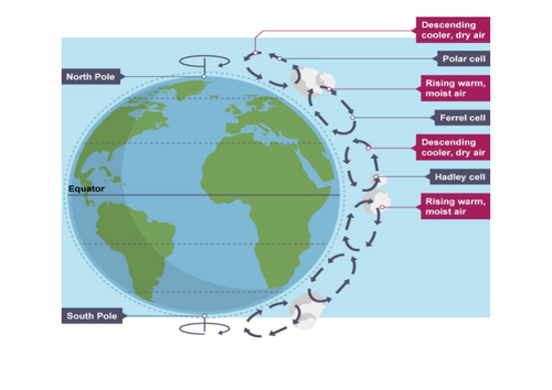 Complete AQA Water Carbon Cycles A level | Teaching Resources