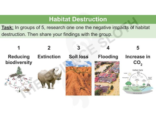 Habitat Destruction - Biodiversity Loss and Deforestation | Teaching ...