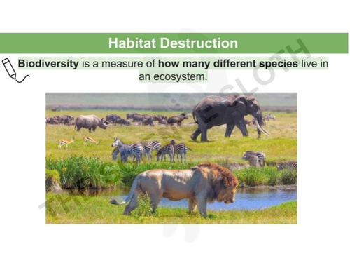 Habitat Destruction - Biodiversity Loss and Deforestation | Teaching ...
