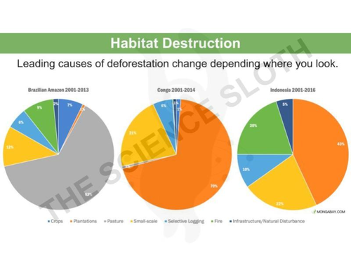 Habitat Destruction - Biodiversity Loss and Deforestation | Teaching ...
