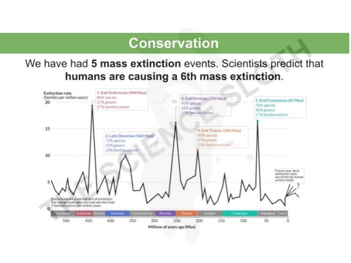 Conservation - Forests, Fish stocks, Extinction and Captive Breeding ...