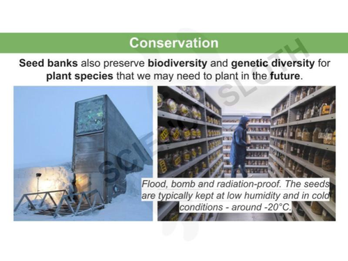 Conservation - Forests, Fish stocks, Extinction and Captive Breeding ...