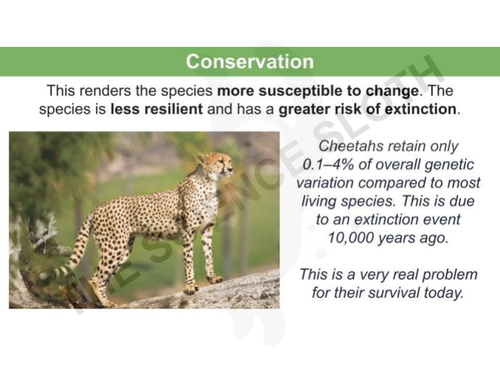 Conservation - Forests, Fish stocks, Extinction and Captive Breeding ...