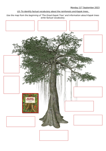 Year 5 The Great Kapok Tree | Teaching Resources