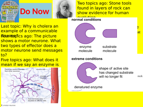 Edexcel CB6 SB6 Photosynthesis Core Practical Complete Lesson - GCSE ...
