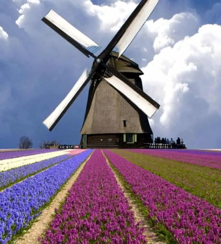 Windmill - Modern Lettering Set Display, Colourful, Whole Alphabet ...