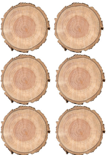 CVC Word Building (SATPIN) | Teaching Resources