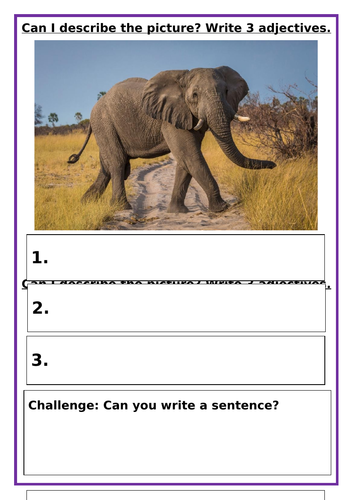 Adjective challenge | Teaching Resources
