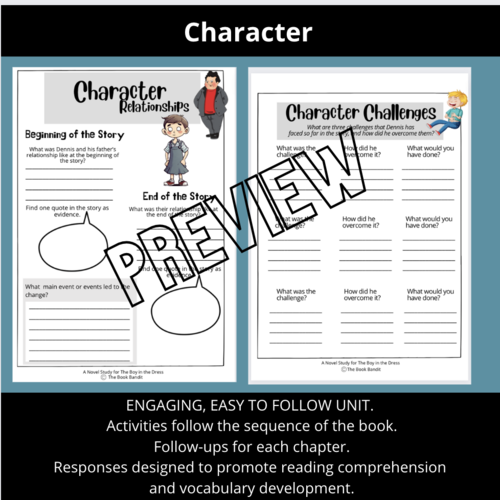 THE BOY IN THE DRESS by David Walliams NOVEL STUDY and READING ...