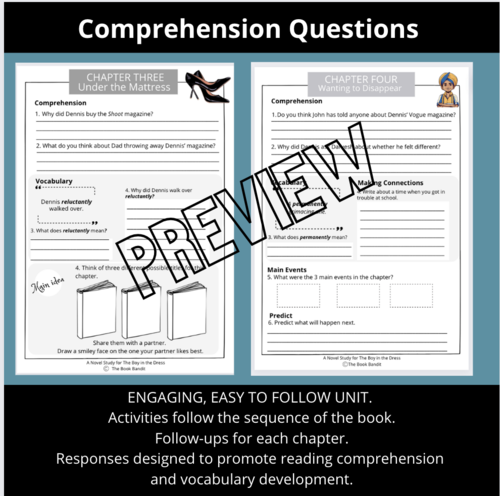 THE BOY IN THE DRESS by David Walliams NOVEL STUDY and READING ...