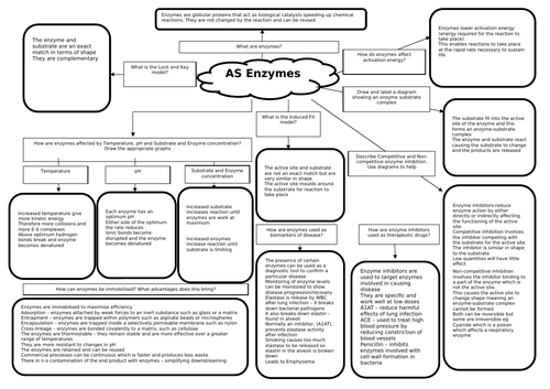 AS Biology - Completed Enzymes Revision Mat | Teaching Resources