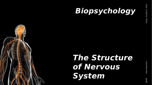Biopsychology - The Nervous System for A Level Psychology | Teaching Resources