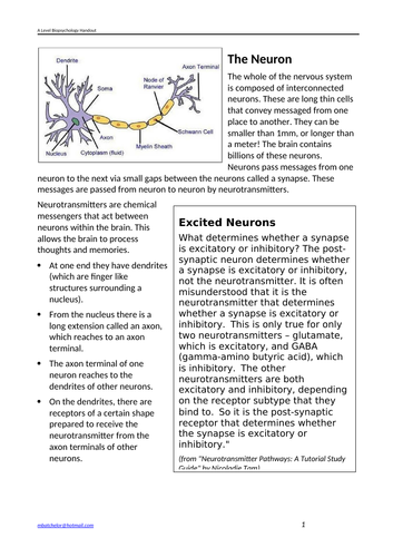 Biopsychology - Nerve Cells and Neurotransmitters for A Level ...