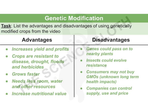 Genetic Modification - Bacteria, Genetic Engineering, GMOs and Ethics ...