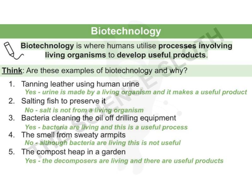 Biotechnology - Examples and fermentation | Teaching Resources