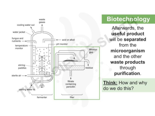 Biotechnology - Examples and fermentation | Teaching Resources