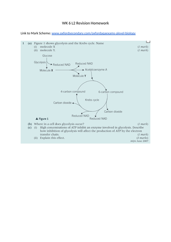 Revision of Respiration - Oxford AQA A Level Biology | Teaching Resources