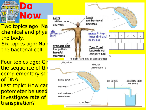 Edexcel SB7 Thermoregulation Complete Lesson - GCSE Biology | Teaching ...