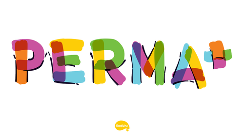 PERMA+ SEL - Wellbeing and Happiness | Teaching Resources