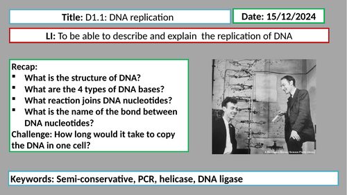 IB Biology D1.1: DNA replication (first exams in 2025) | Teaching Resources