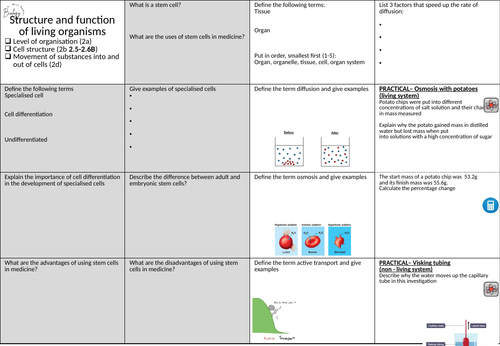 Edexcel iGCSE Biology Structure and Function of living organisms ...