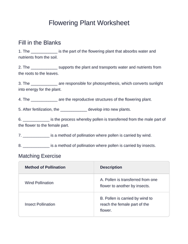 Flowering Plant | Teaching Resources