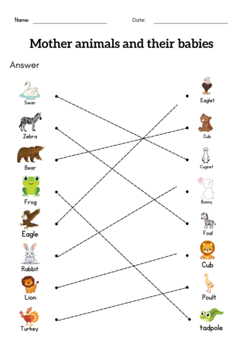 Baby Animals With Their Mothers Worksheet 2230653 | Mother Animals And