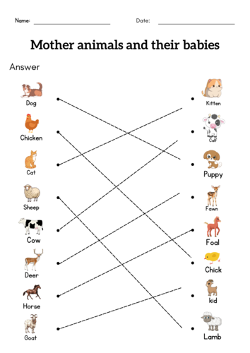 1st grade animal and babies worksheet - matching mother and baby animal ...
