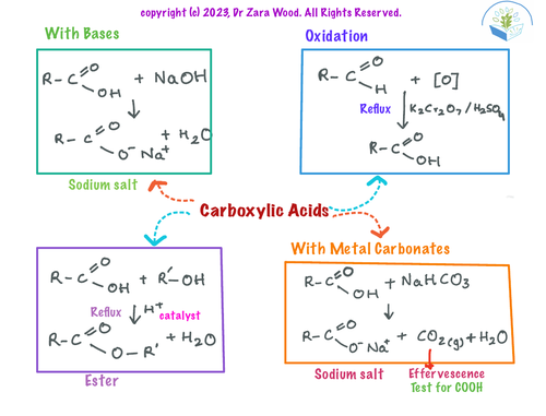 Carboxylic Acids Mind Map for A Level Chemistry | Teaching Resources